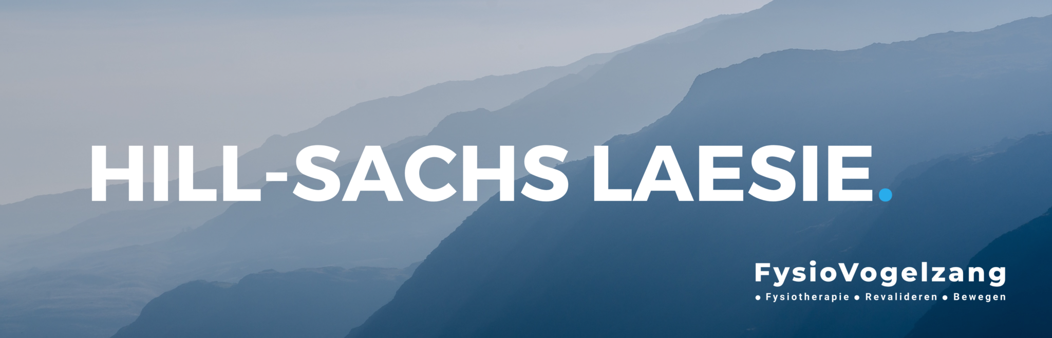 Hill-Sachs Laesie van de schouder - FysioVogelzang